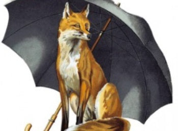 Welcome Fox Umbrella to the QG – The QG Welcome Fox Umbrella to the QG – The QG